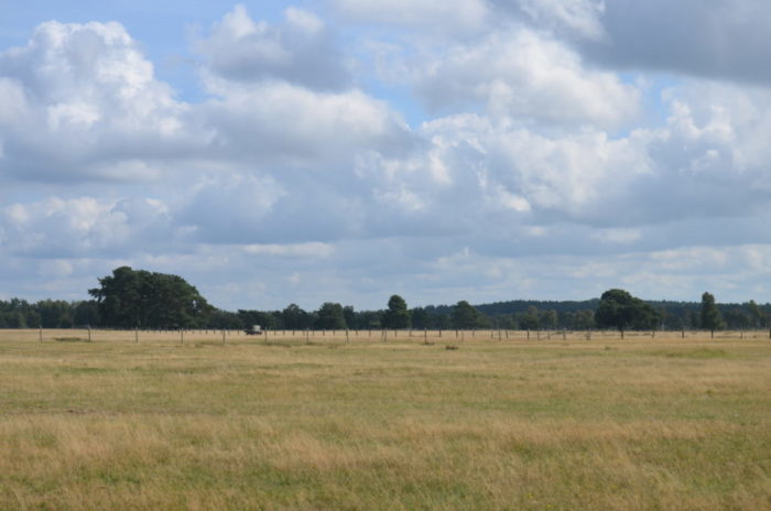 Lüneburger Heide: Die Top 15 Ausflugsziele (+ wichtige Tipps ...